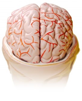 Neurapie – Ensure What You're Born For